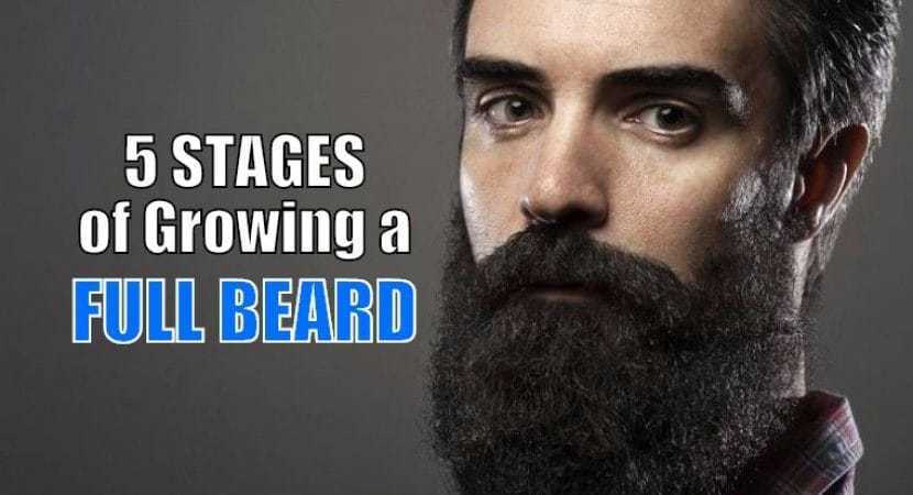 Beard Growth Stages Pictures , 3 Week Beard: Navigating Growth ...
