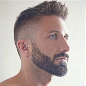 30 Sensational Short Boxed Beards [2023] — Beard Style